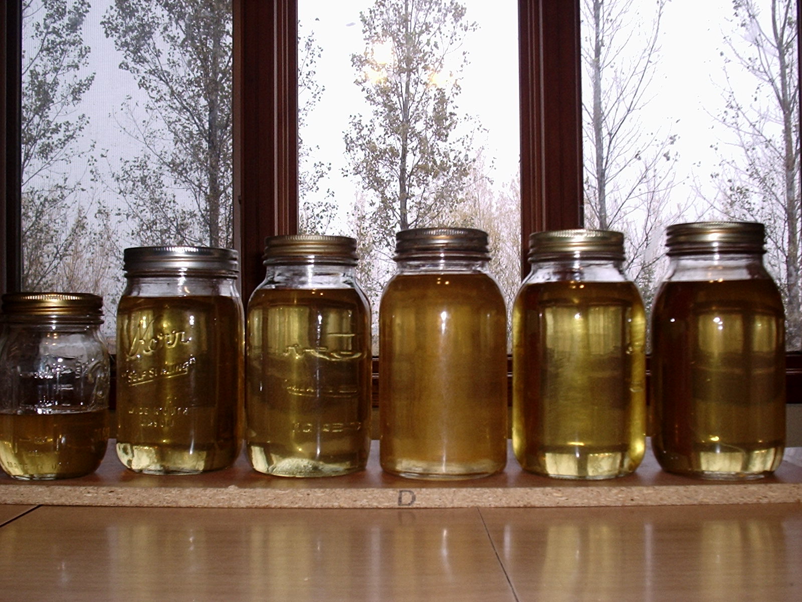 Rendering bear fat - PaleoPlanet