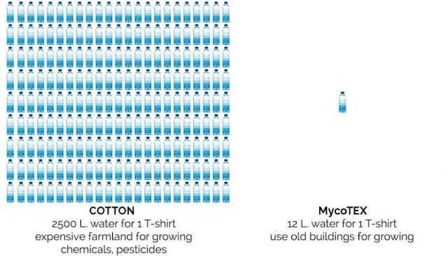 Últimas Tendencias: MycoTEX es un material 100% biodegradable hecho de ...