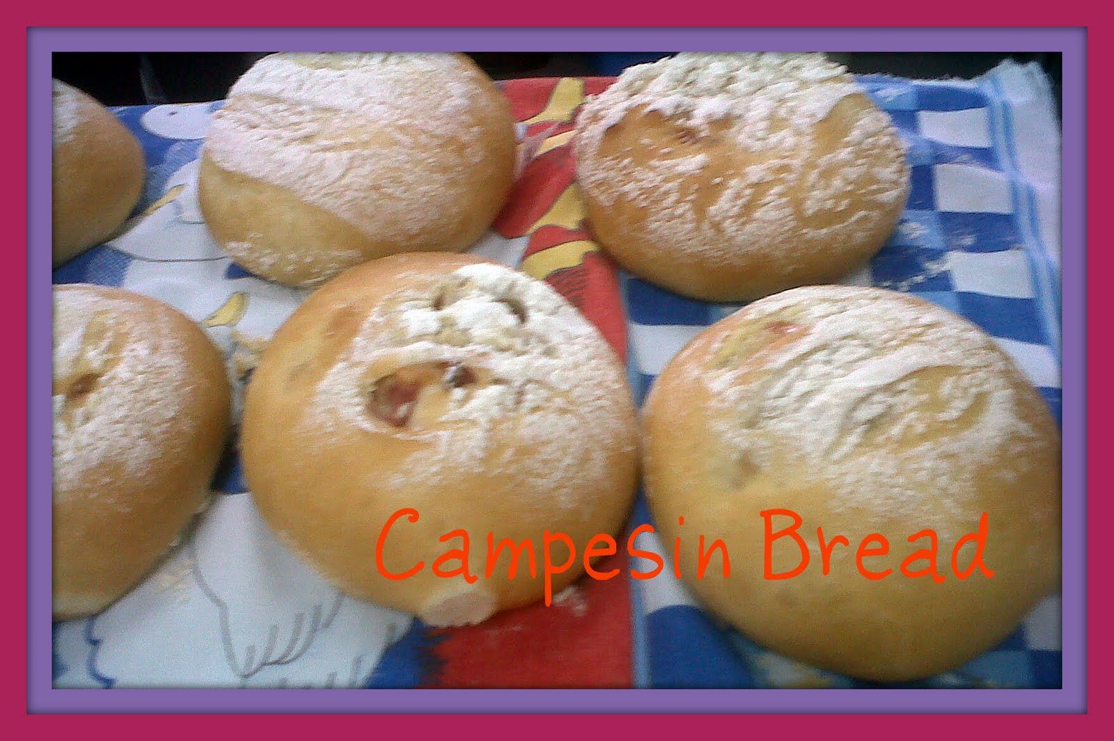 Danii Baking Recovery: Campesino Bread