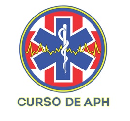 Curso Online de Atendimento Pré-Hospitalar - APH Certificado - FoccoNet ...