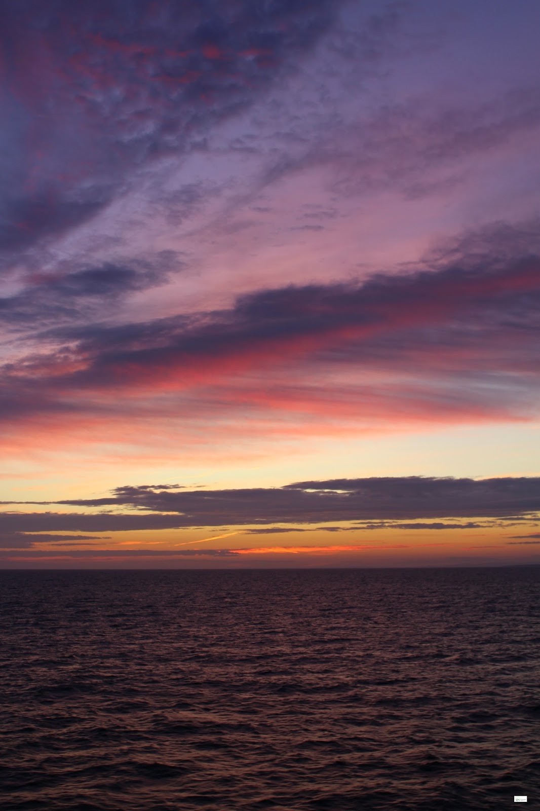 Sunrise CAT Ferry Ride from Prince Edward Island to Nova Scotia ...