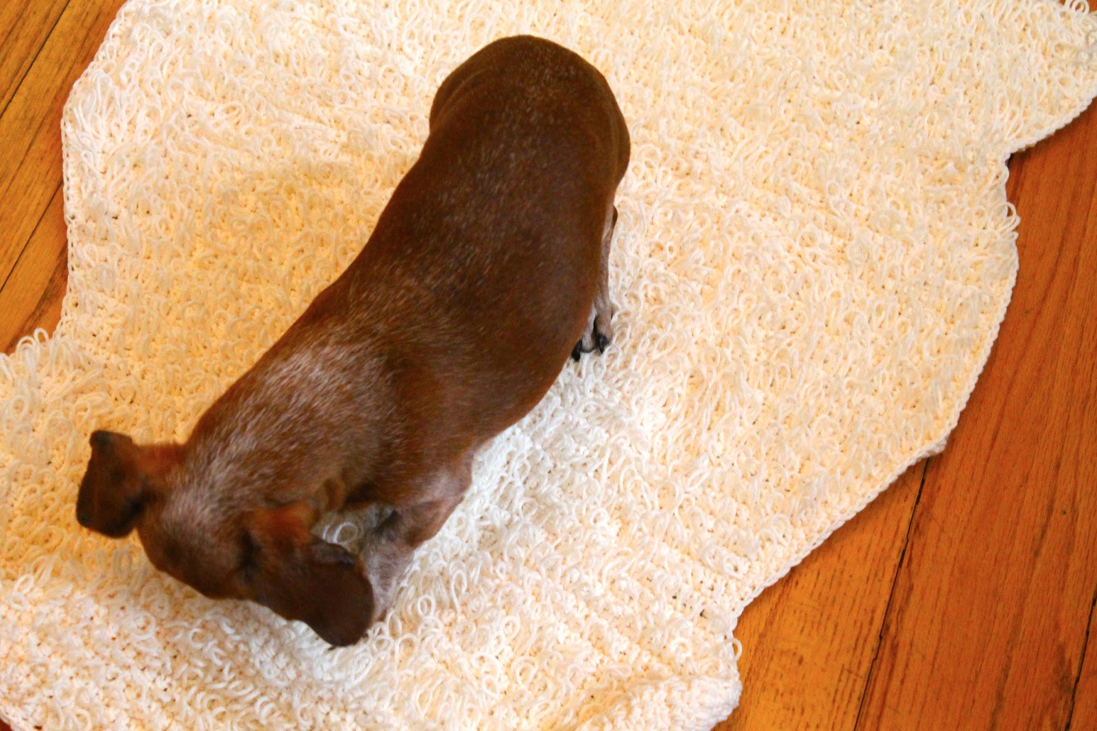 Sans Limites Crochet: Faux Sheepskin Rug