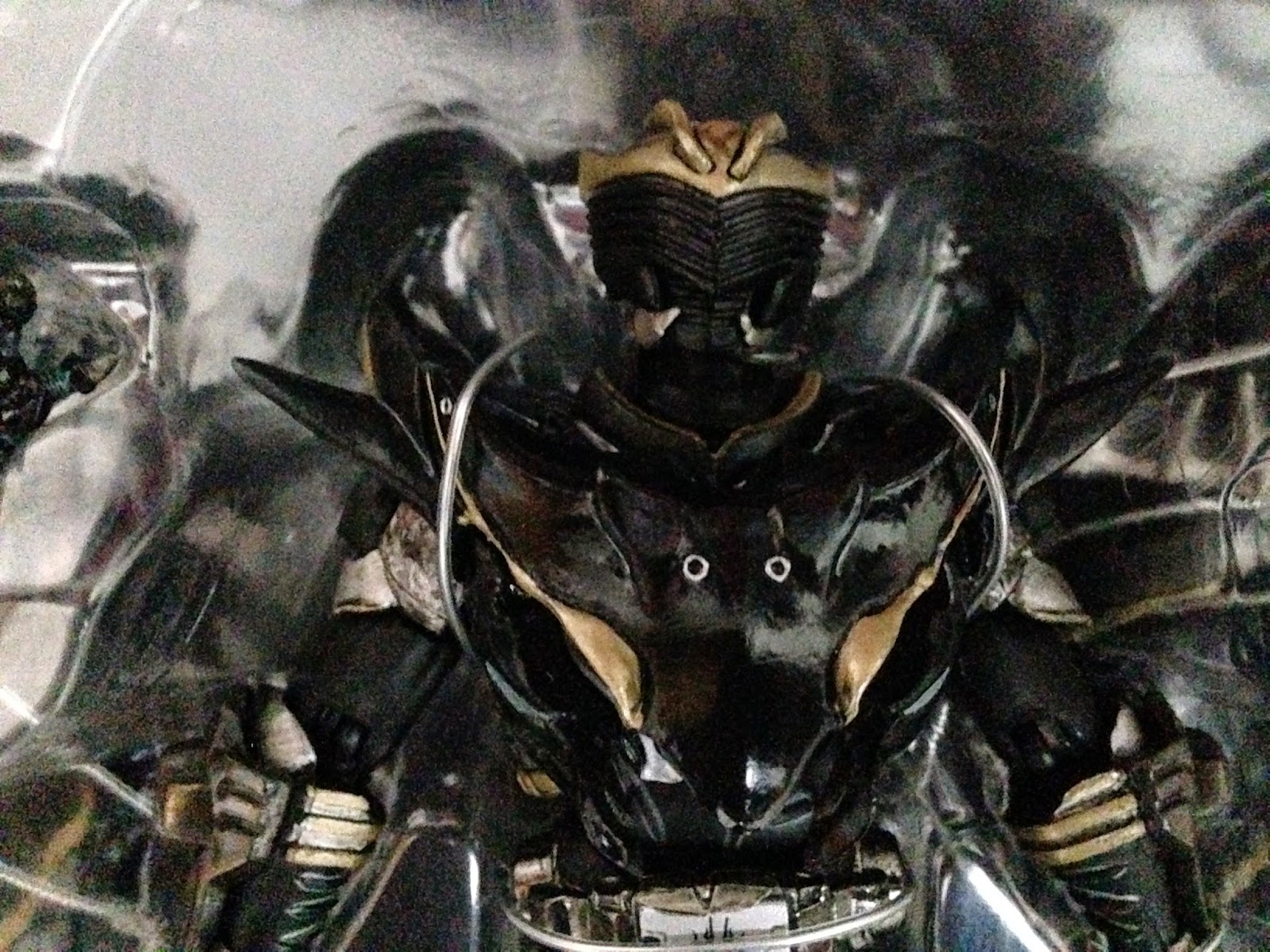 Super Imaginative Chogokin: SIC Hobby Japan Limited Kamen Rider Ryuga ...