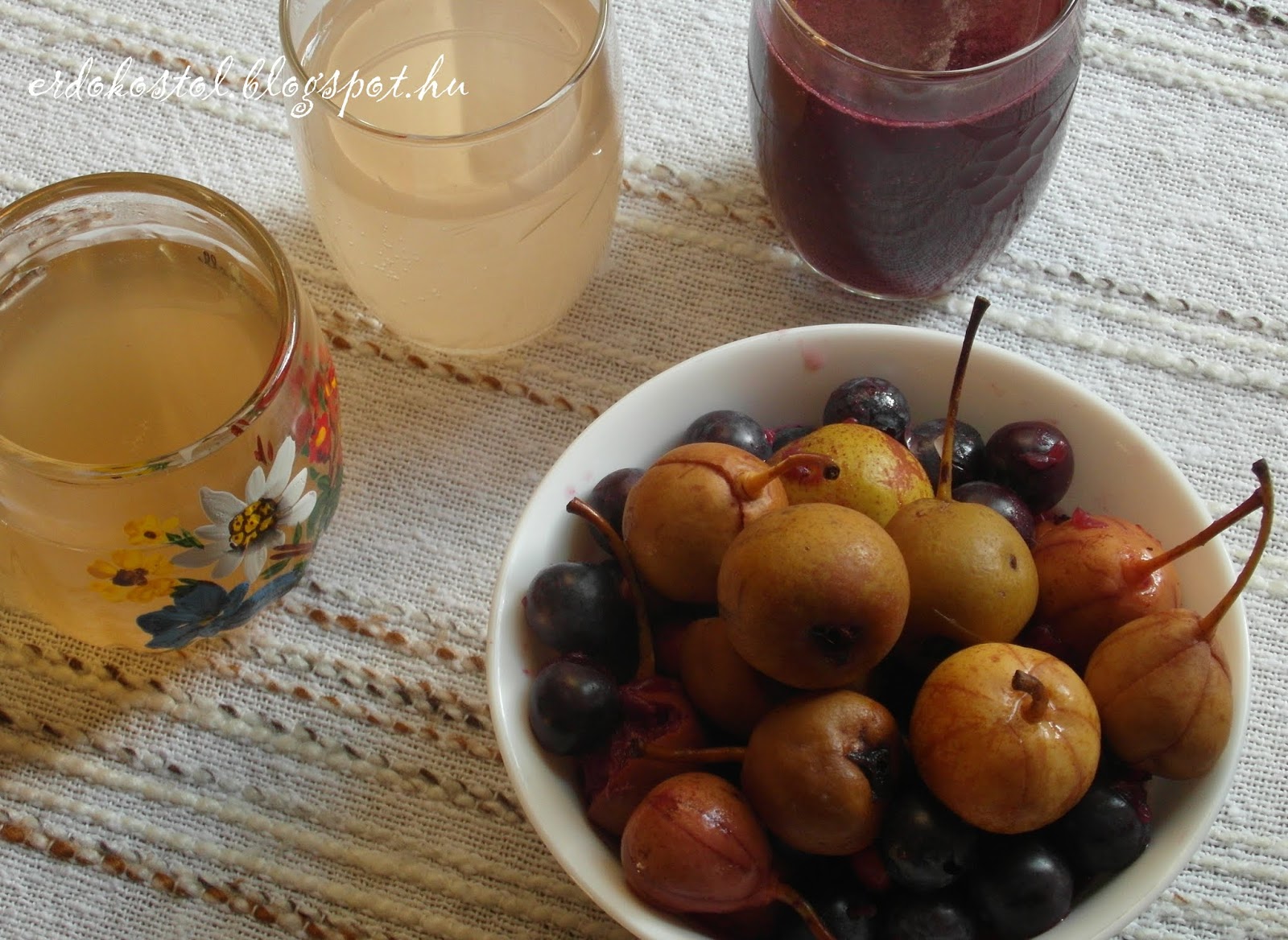 Fermentált vadgyümölcs-italok és vadgyümölcs-savanyúság készítése őszi ...