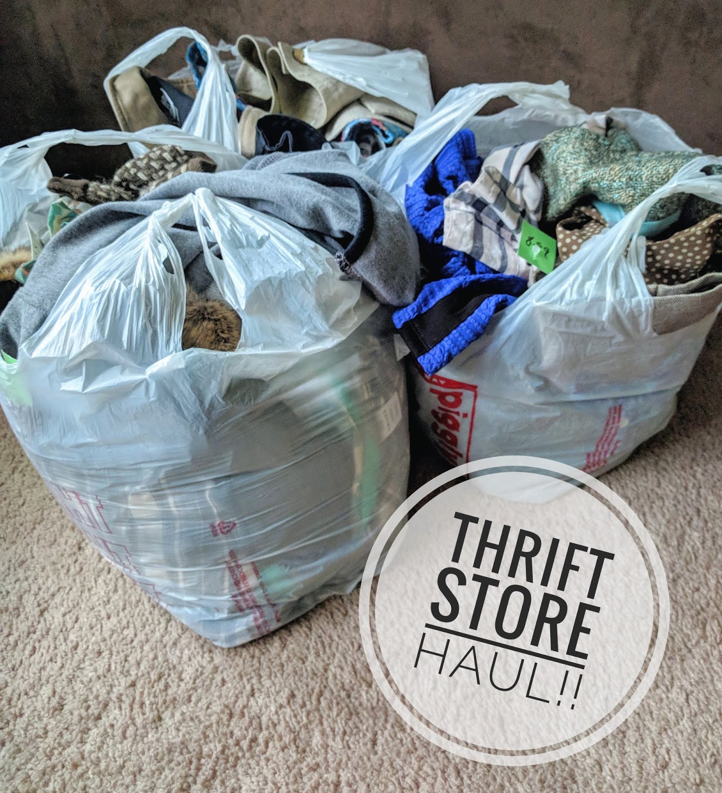 Pinch of Ginger: Thrift Store Haul and Try On
