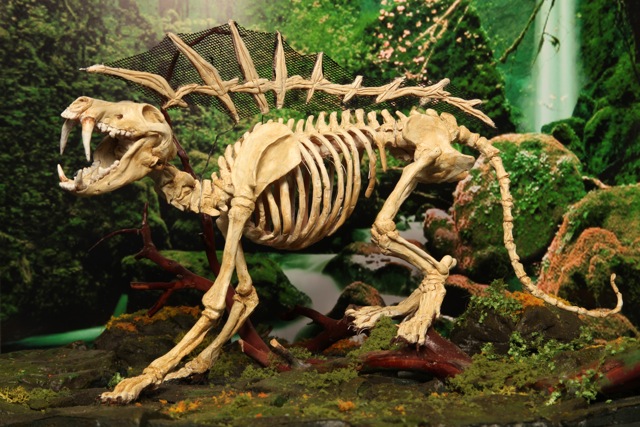 Los Angeles Academy of Figurative Art: A Week in the Life of LAAFA