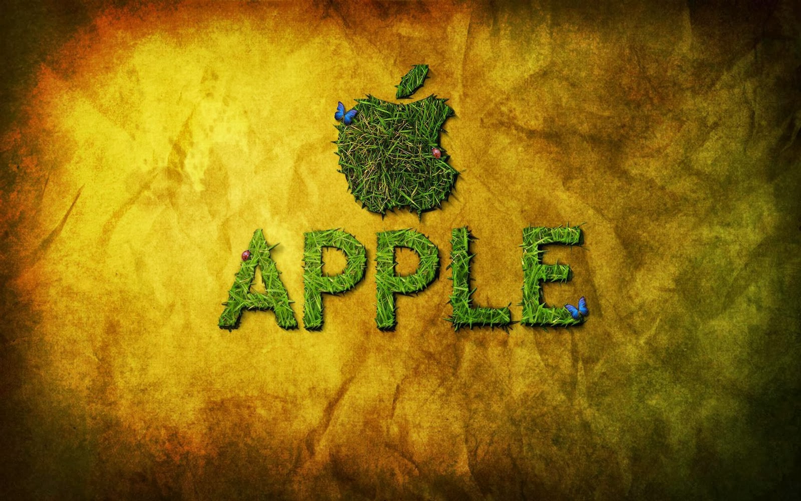 Andrews Michalakis-Apple Inc.: Ch. 3 - Ethics & Social Responsibility