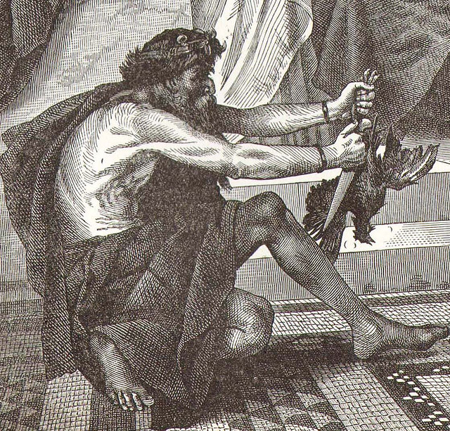 le dimanche indo-européen: hernie, tétracorde et haruspice