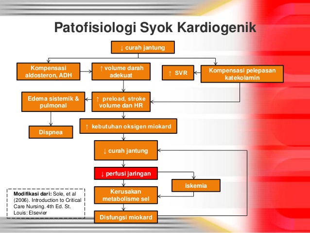 SYOK KARDIOGENIK ~ Pena Medis