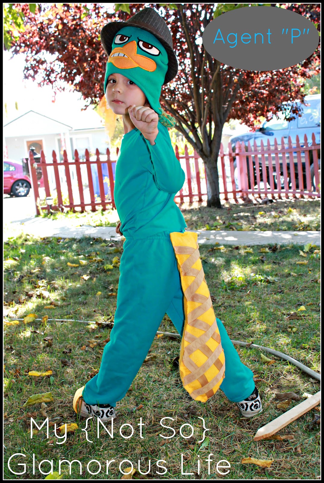 Perry The Platypus Agent P Halloween Costume