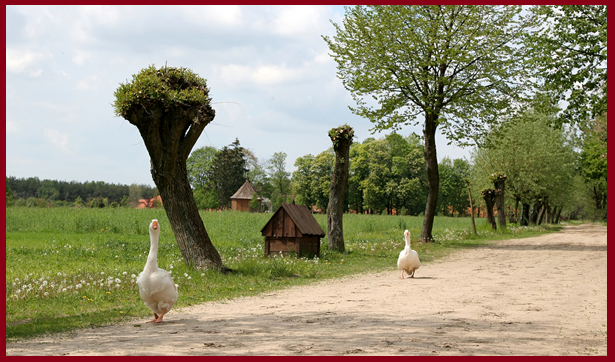 Tradycyjnie na Mazowszu: HEJ MAZOWSZE.