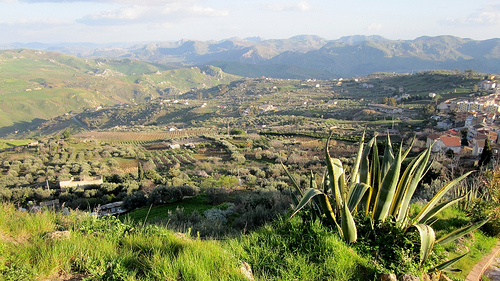 Sicilian Connections: Pistacchio di Bronte - A taste of Sicilian gold!