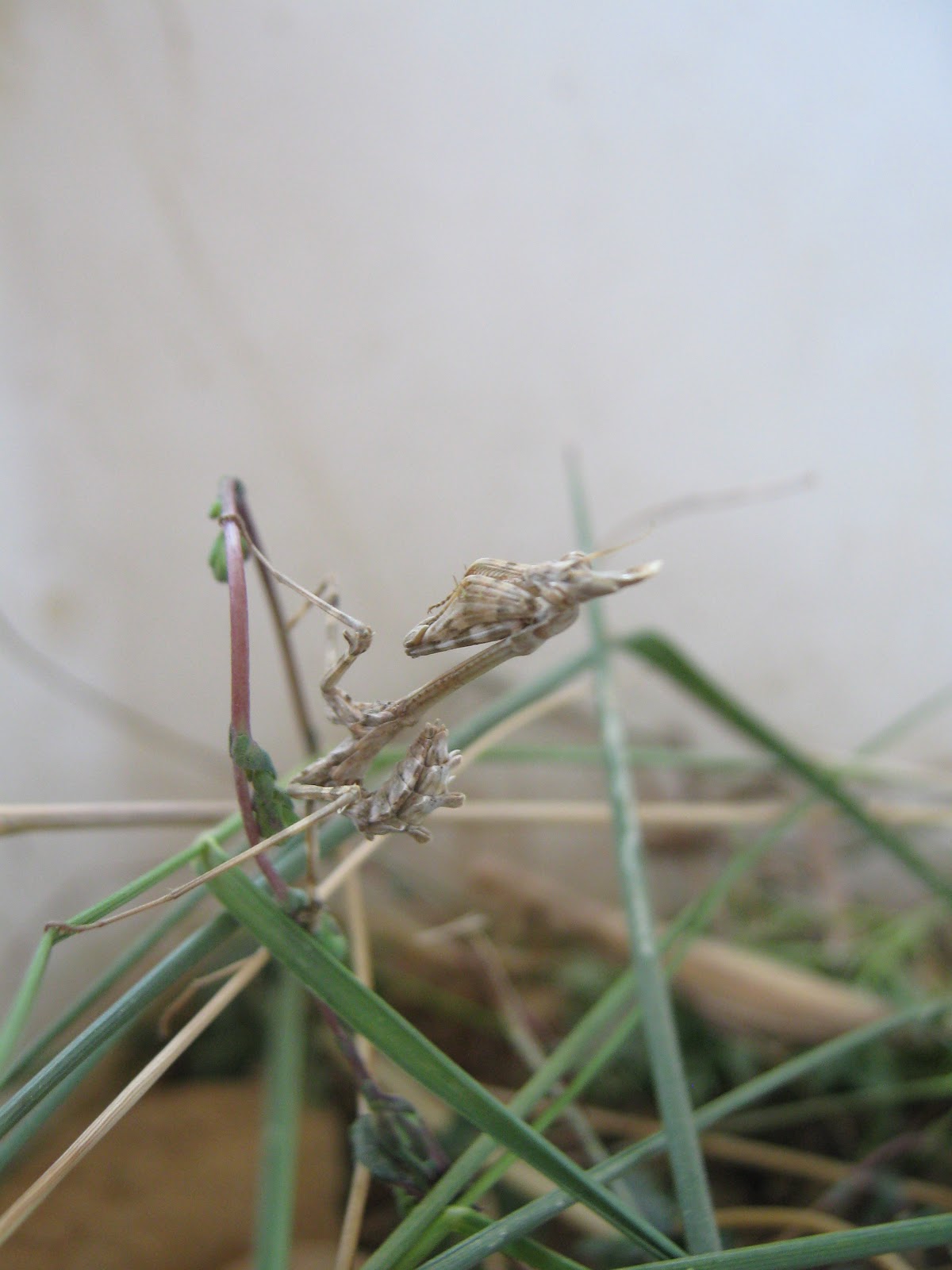 Les Nouals: septembre 2012