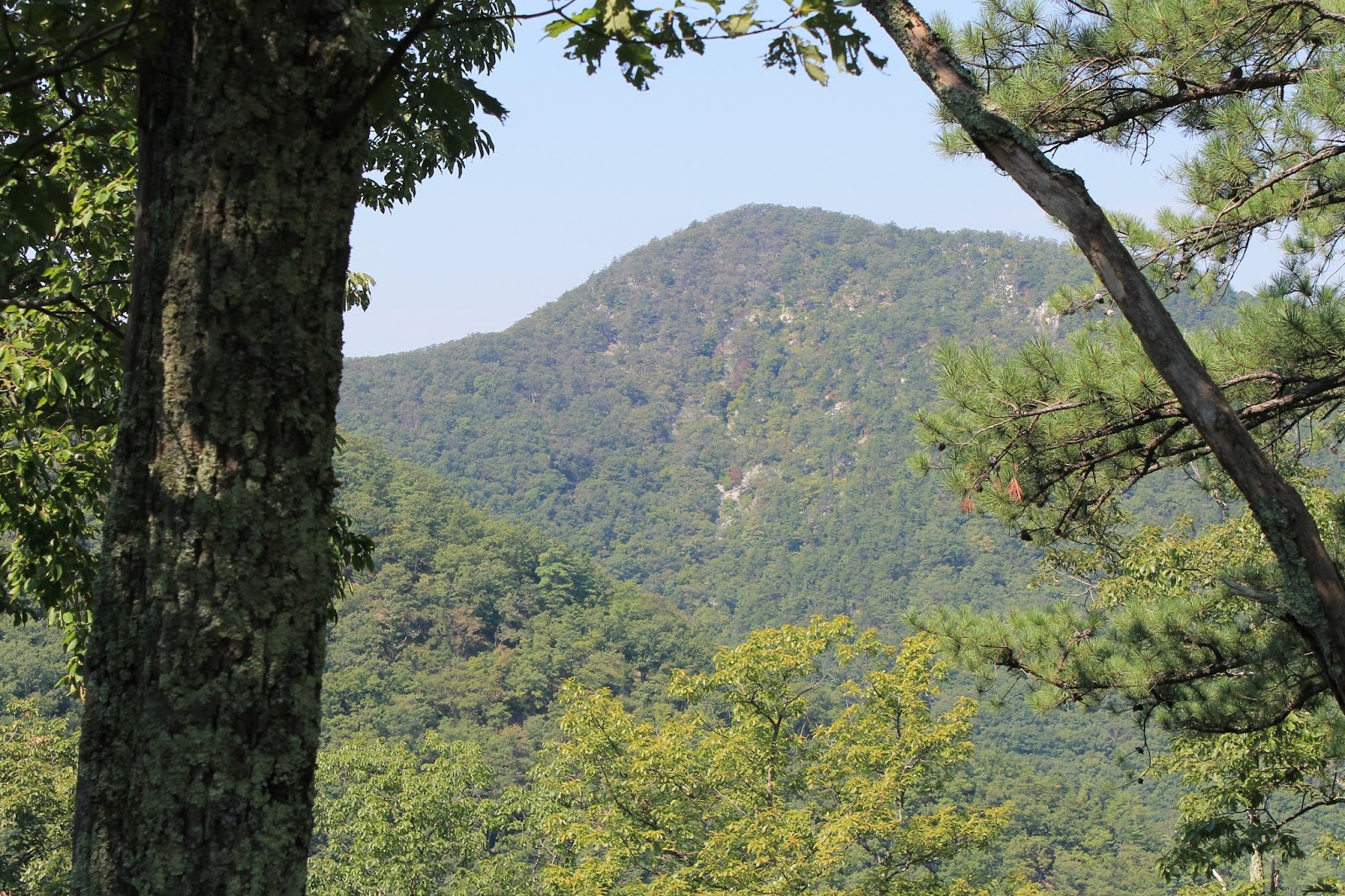 Wandering Virginia: Whetstone Ridge Trail, September 9, 2013
