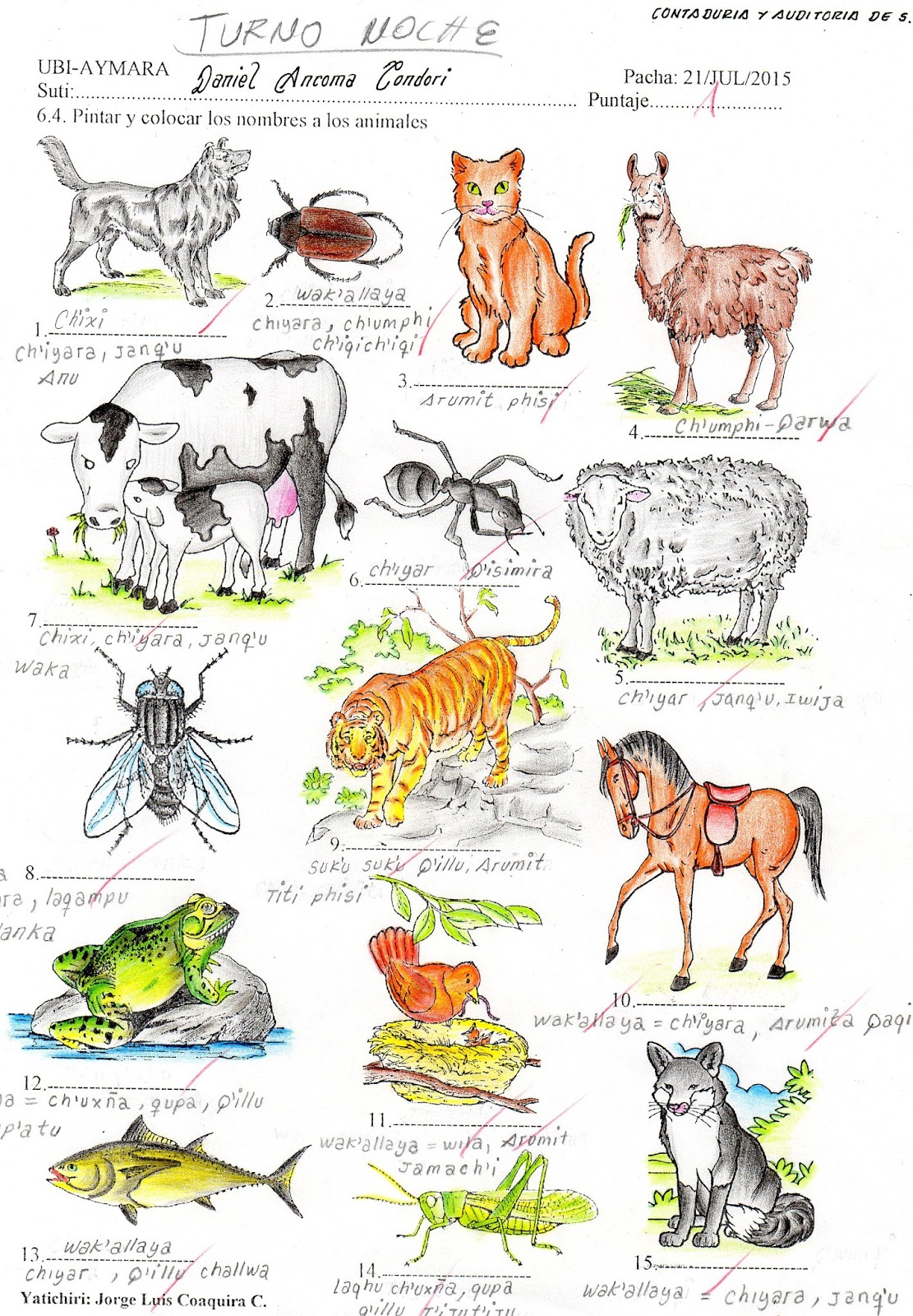 Nombres de animales con la letra ch. - Imagui