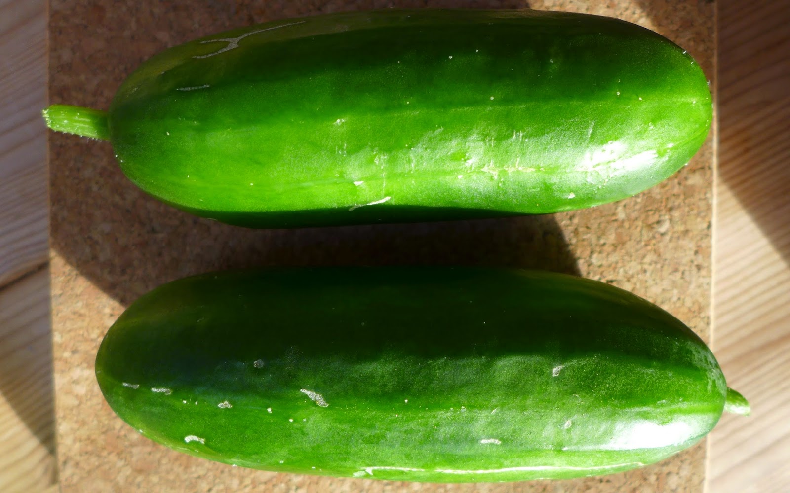 Basicallyitsgrowing: Delta Star F1- One good looking cucumber