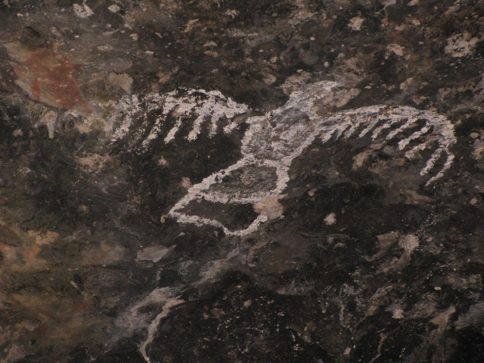 Backyard Excursions: Garden Canyon Pictographs