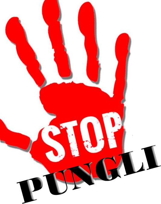 Ari Wibawa (dot) Com