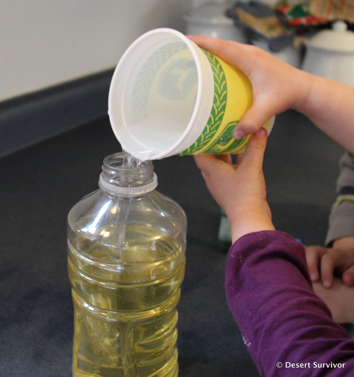 Desert Survivor: Science Experiment: Lava Lamp