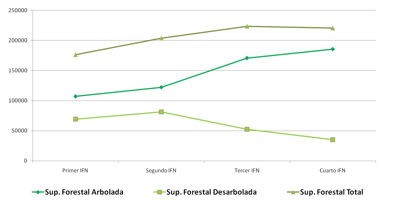 Xarxa Forestal: Tan sols s’aprofita energèticament poc més del 6% del ...