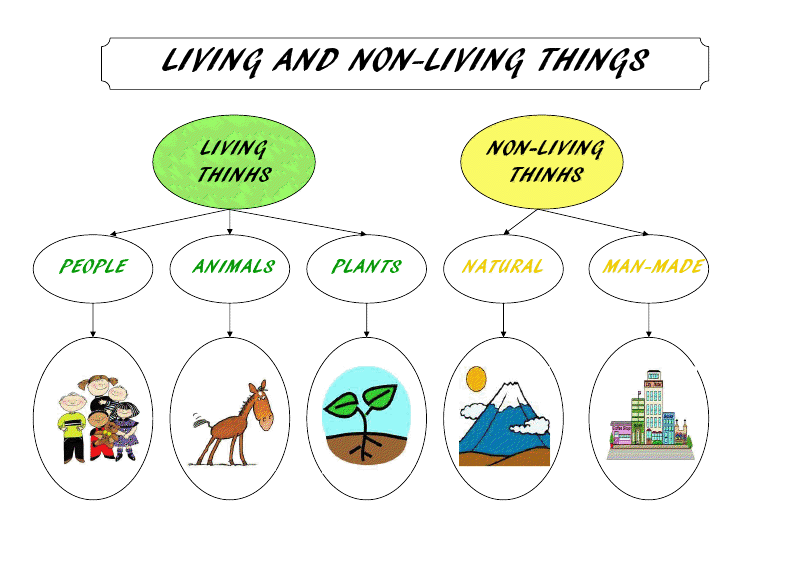 C.E.I.P. "Peñamiel" Sonseca. Programa de Secciones Bilingües 2013-2014 ...