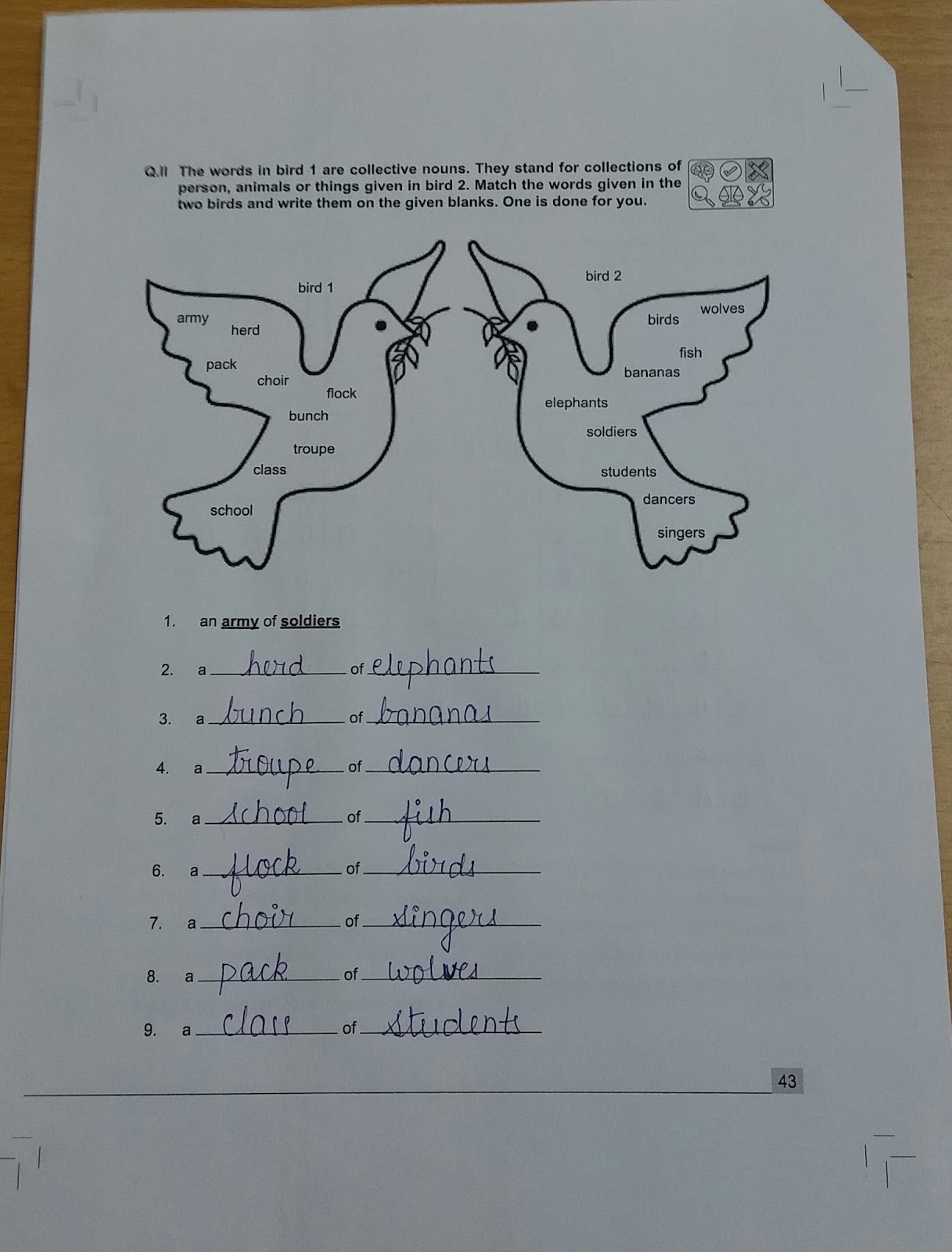 Grade 3, English, Grammar (One and Many)