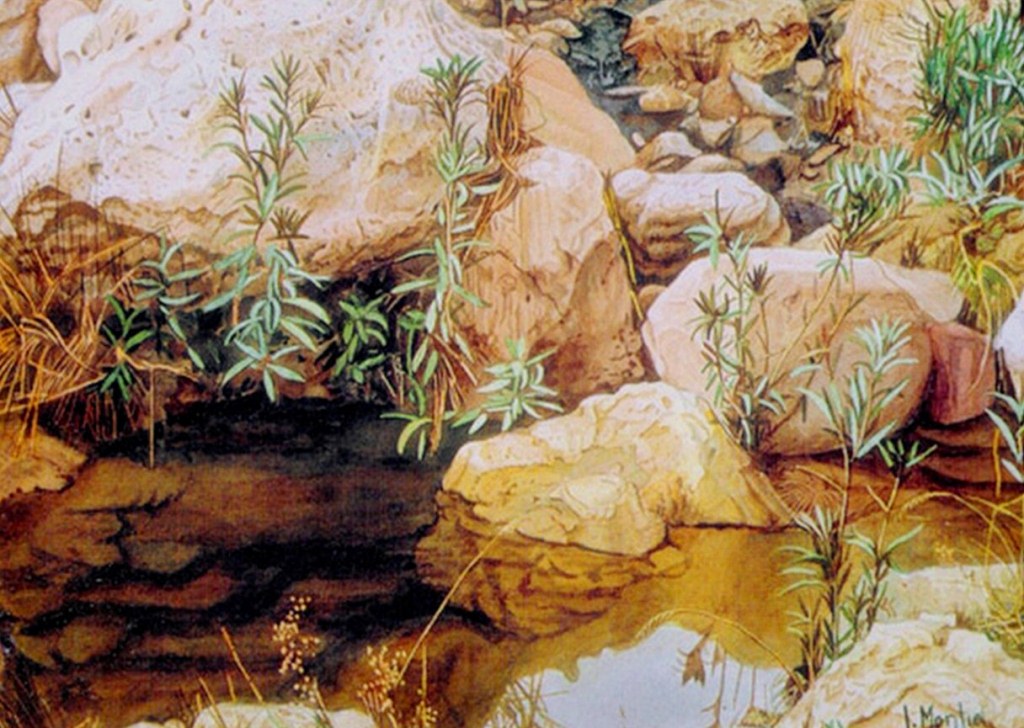 Historia y evolución de la pintura artística : Paisajes con acuarela