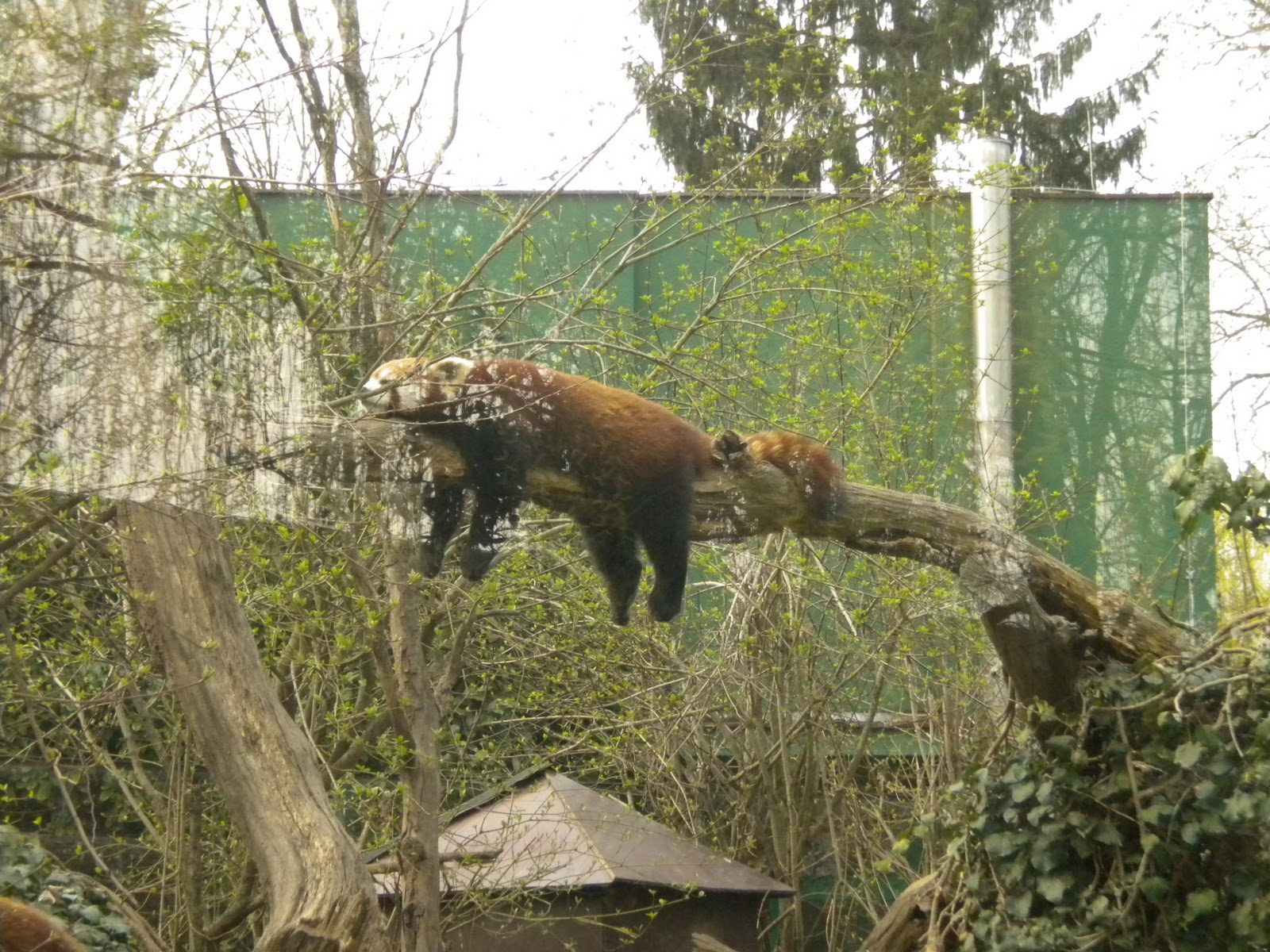 La vida en Zagreb: Zoo de Zagreb