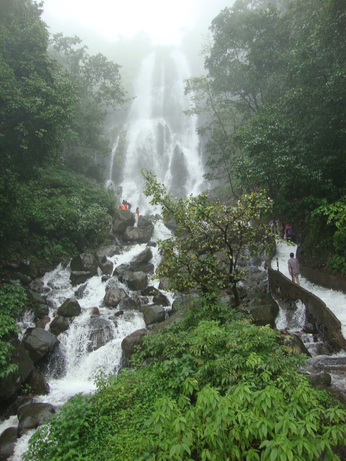 Truly 'I' or Truly 'Me': Amboli ghats - The Nature's Retreat , Shiroda ...