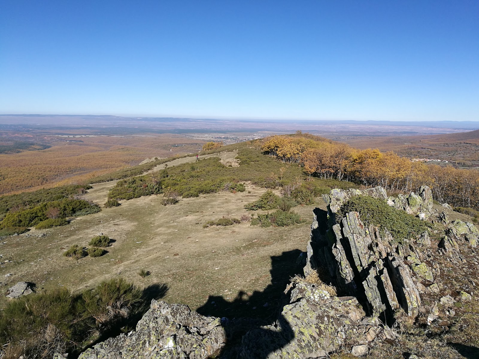 Wikiloc | Ruta Hayedo de la Pedrosa, Riofrío de Riaza