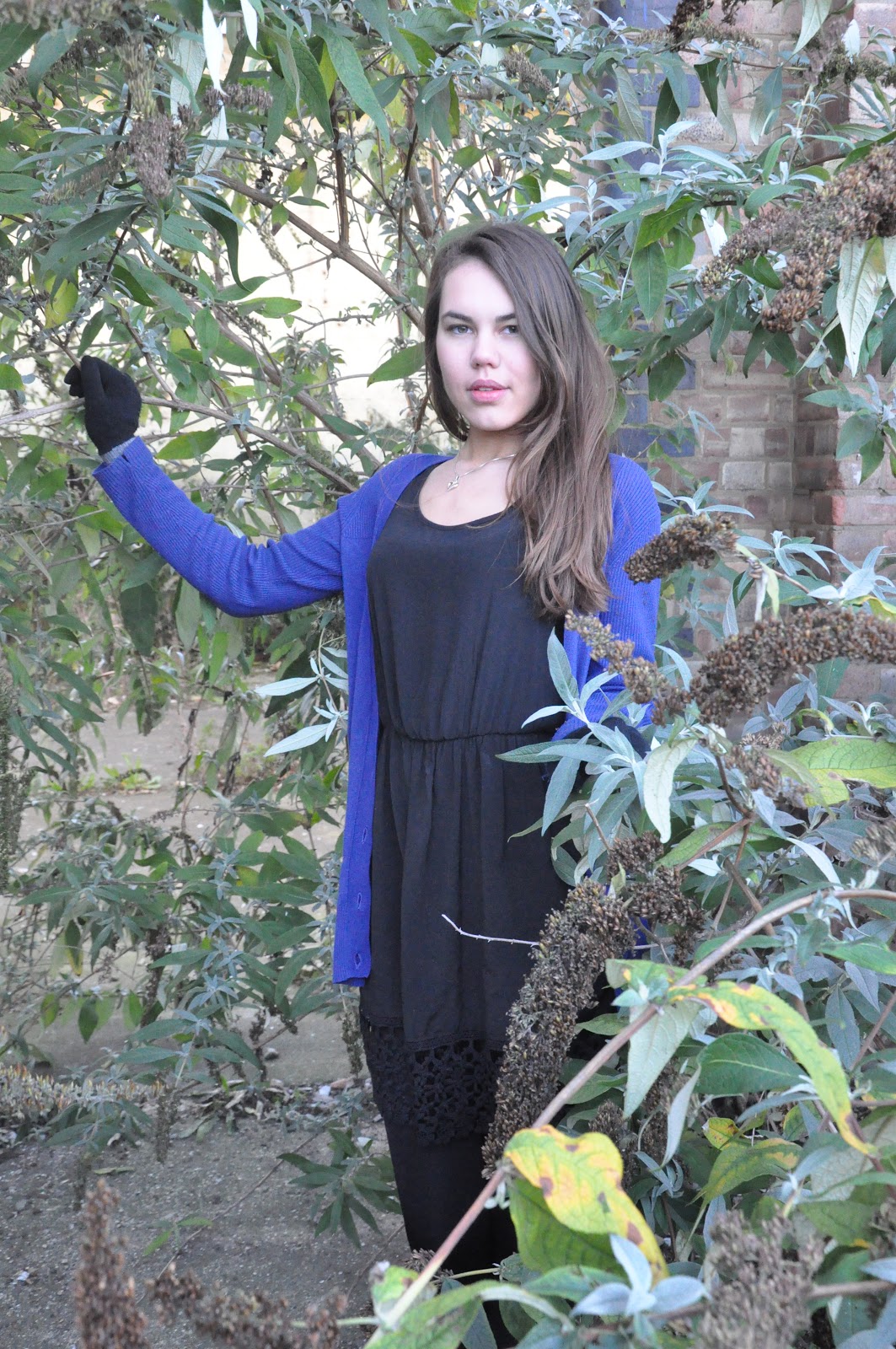 Harry Luke Mulvany's A2 Music Video: (Post Production) Ancillary Text ...