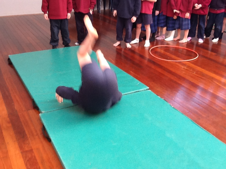 Kanuka Class Blog : Gymnastics