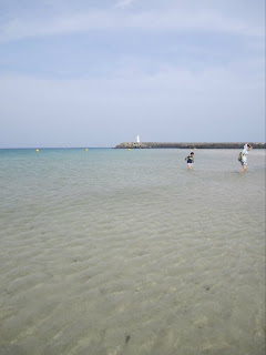 a contemporary art exhibition in Jeju