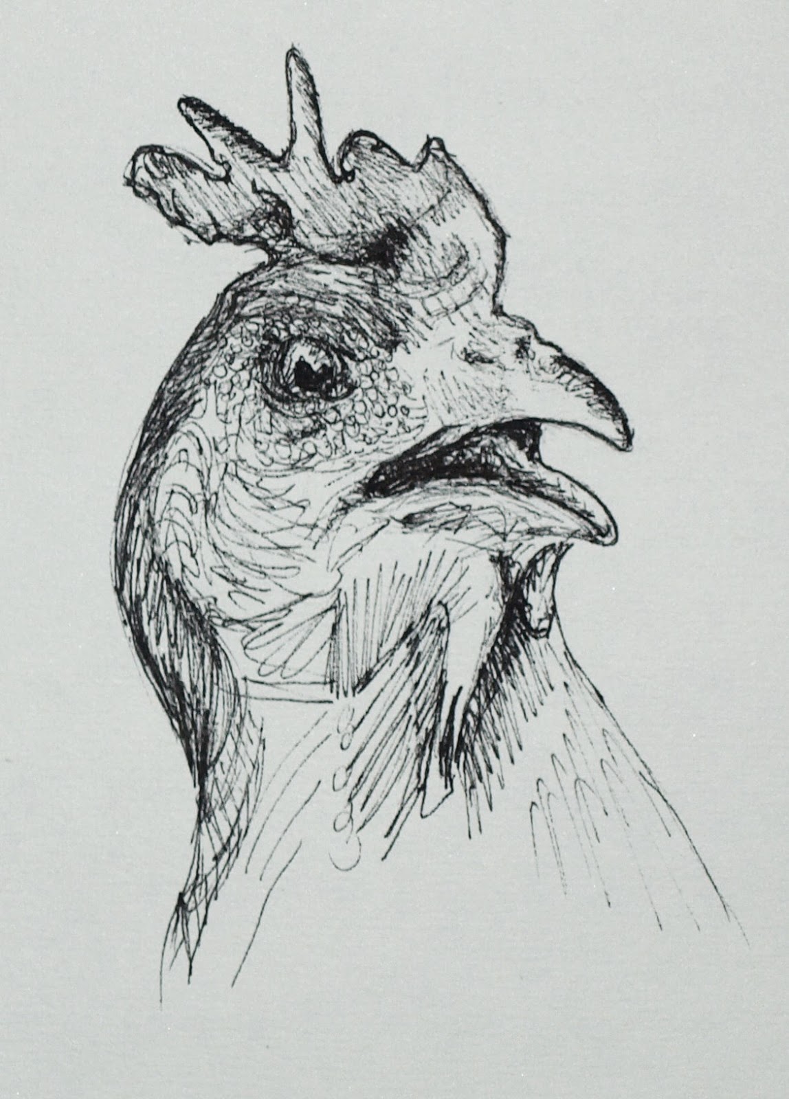 ARTIQUERYROSE: FUNKY CHICKEN SKETCH