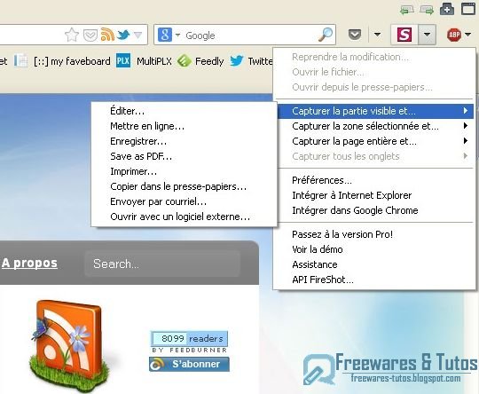 Fireshot extension - countrylasem