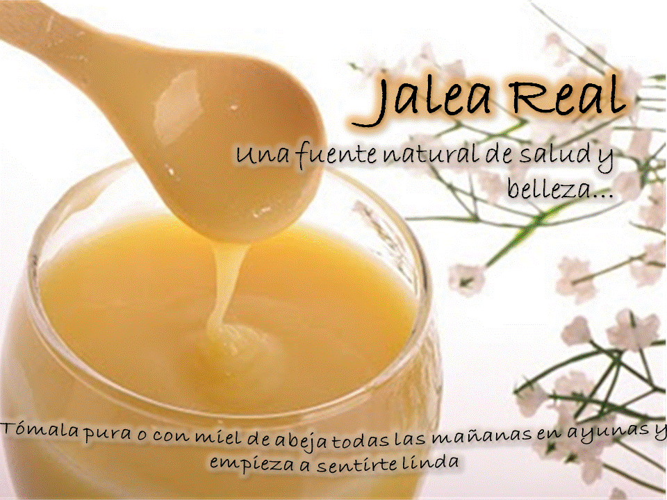DOCTORABEJA: Jalea Real
