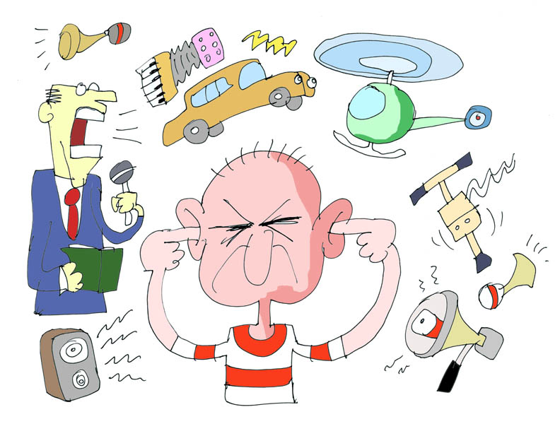 RUÍDO [Bernardino Guimarães] | Revista Biografia