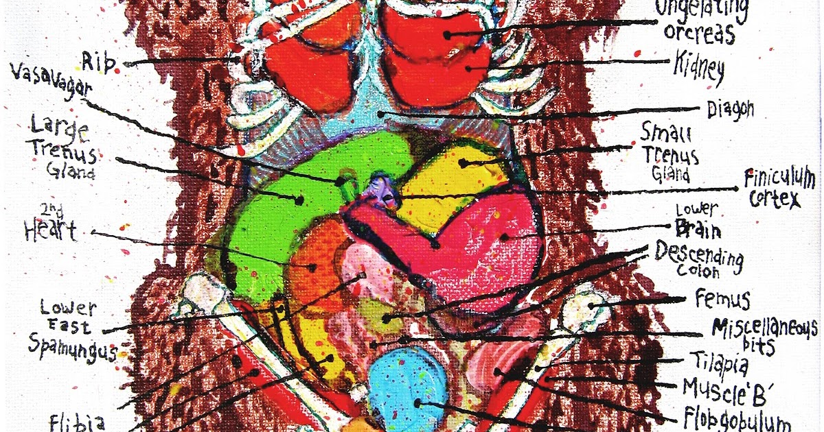 Jared Friedman Illustration: Wide Open Beaver