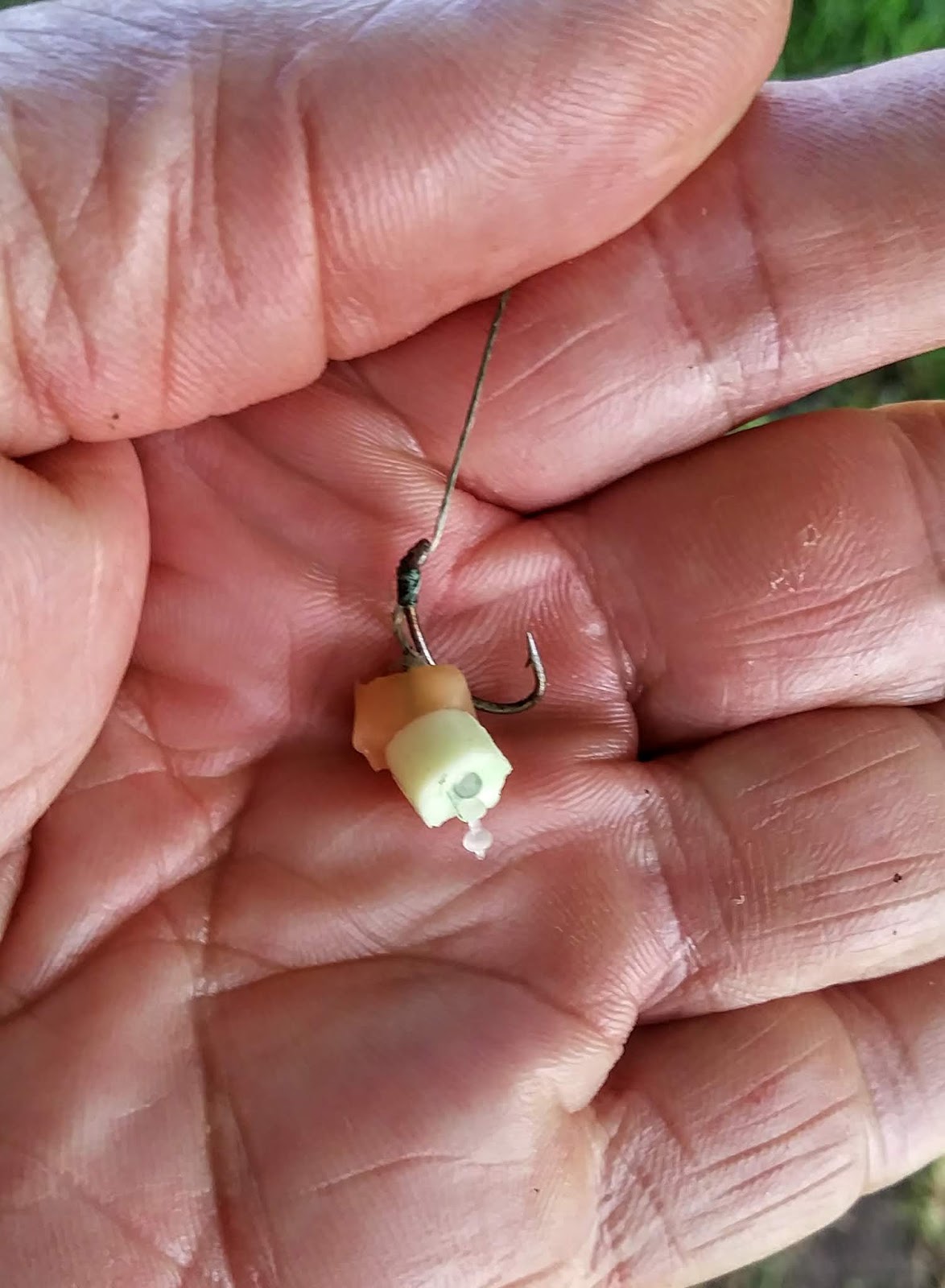 Rhode Island Carp Fishing: You Won't Believe this Trick