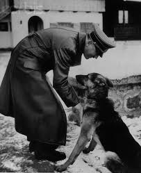 NAZI HOLOCAUST FILMS: HITLER Y LOS ANIMALES