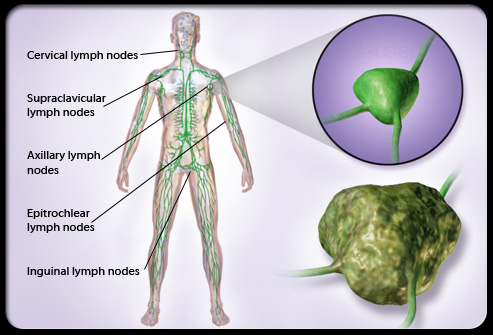 Treatment at World Best Cancer Hospitals in India : Understanding Cancer