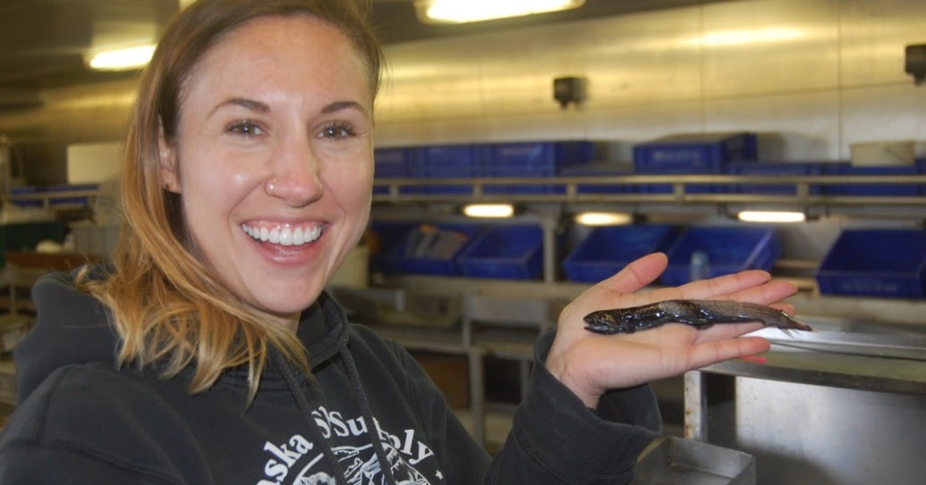 Brynn Devine's Instagram, Twitter & Facebook on IDCrawl