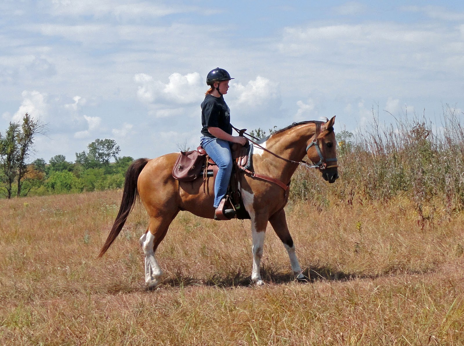 Mustang Dreams....: 2011 ACTHA Ride for the Mustangs