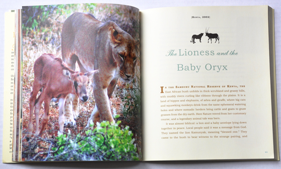 Three Dogs in a Garden: Unlikely Friendships: A great little book of ...