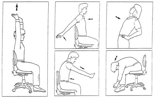 Back Exercises: How To Maintain A Healthy Back With Gentle Back Exercises