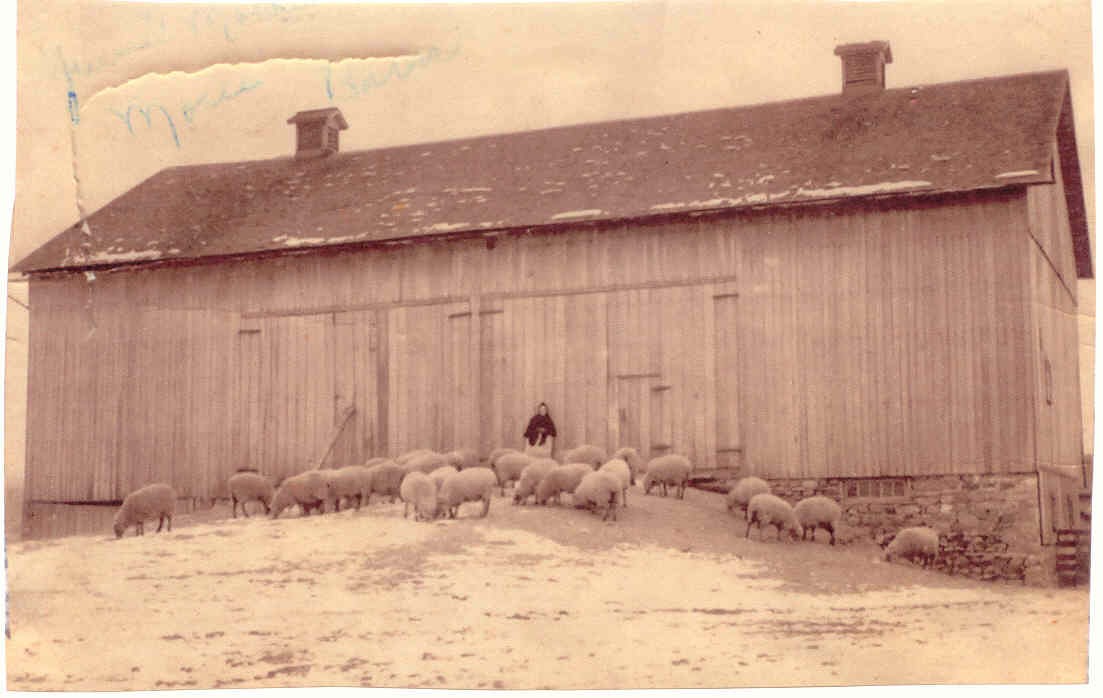 My Swiss Moree Family