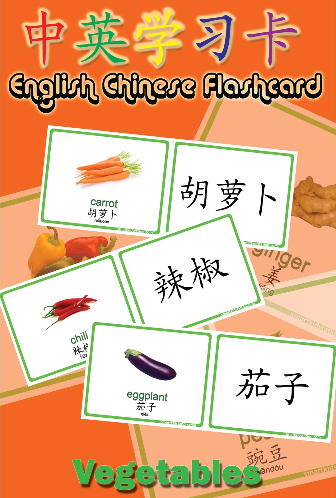 English Chinese FlashCard