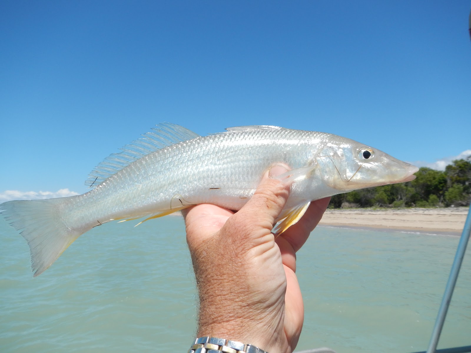 Keeping up with the Joneses 2012