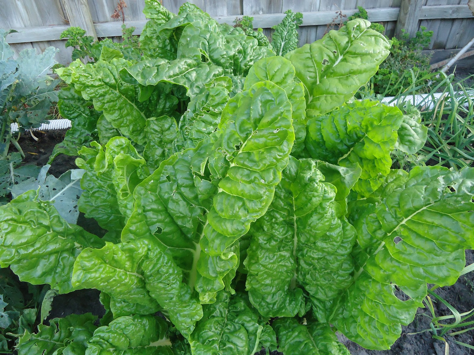 AussiePinay Frugal Living