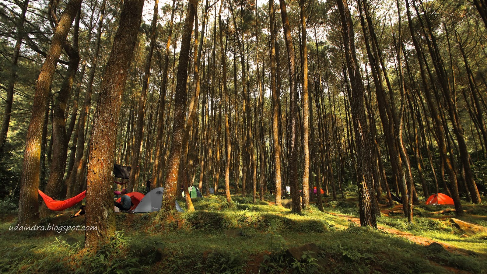 Mengunjungi Suaka Elang dan Curug Cibadak-Loji, Bogor
